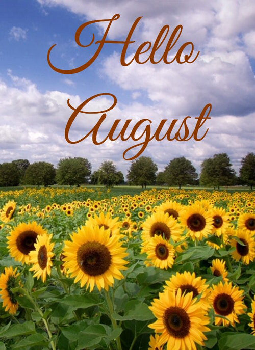 Hello August! – Beth's Country Primitive Home Decor